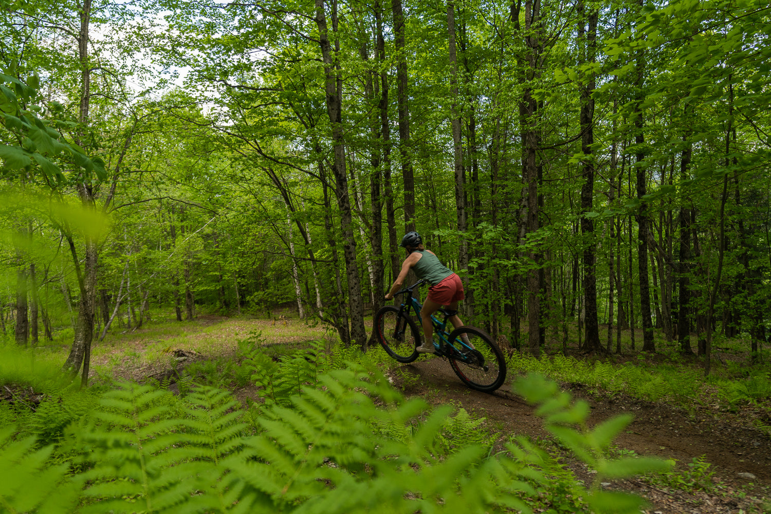 Women's Essentials – IBEX